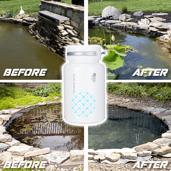 Natural Water Cleaner – Bioprípravky proti řasám - SweetBuy